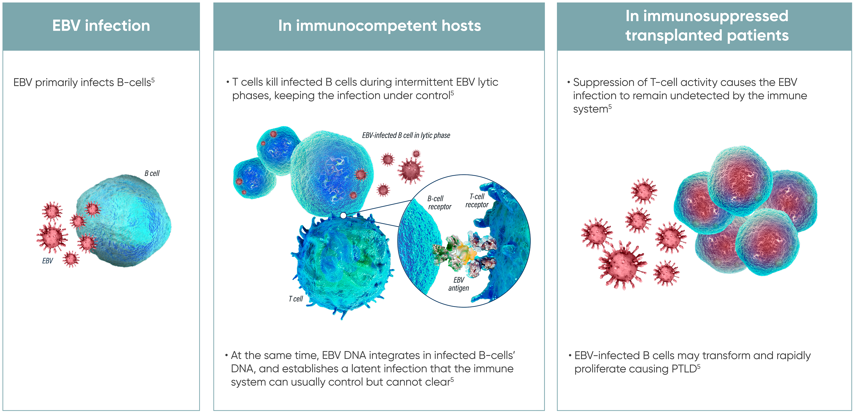 EBVALLO tabelecleucel The First T cell Immunotherapy Approved For EBVALLO tabelecleucel The First T cell Immunotherapy Approved For